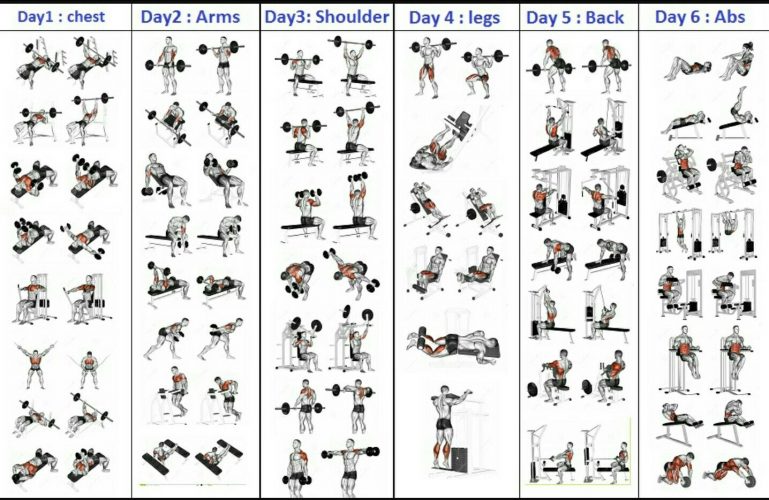 6 Day Gym Workout Schedule PDF For Beginners Gym Workout Plan Pdf 6 Day Gym Workout Schedule PDF For Beginners Gym Workout Plan Pdf